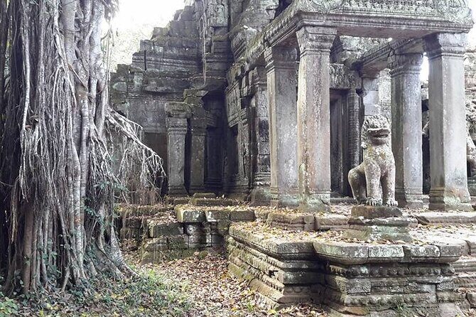Decide Your Own Tour from Siem Reap (DELUXE) - What We Loved