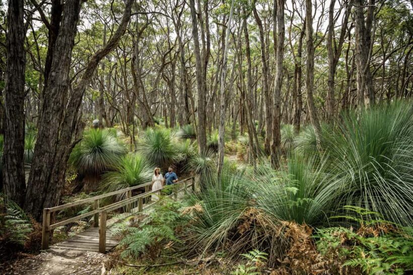Deep Creek National Park: 4WD Adventure and Native Food Tour - A Closer Look at the Tour Experience