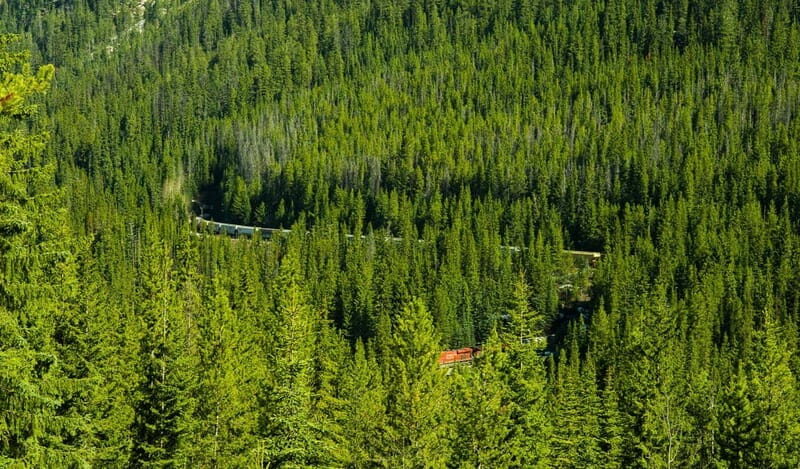 Deep Day Tour to Emerald, Moraine, Louise Lake, J. Canyon... - Why This Tour is Worth It