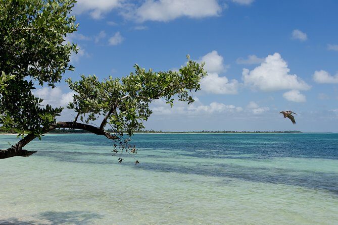 Deep into Nature at Sian Ka'an Biosphere! Round Transportation From Riviera Maya - Frequently Asked Questions
