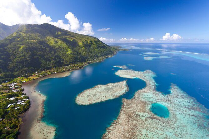 DEEP SEA FISHING 1/2 day (private group) - Why This Tour Is Worth Considering