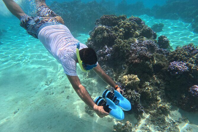 DEEP SEA FISHING 1/2 day (private group) - Who Should Book This Tour?