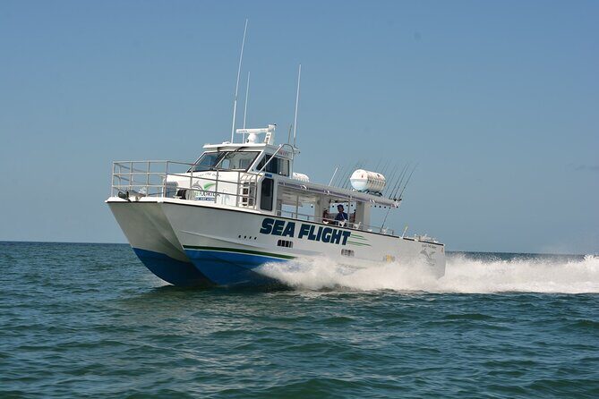 Deep Sea Fishing EIGHT Hour - Final Thoughts: Is It Worth It?