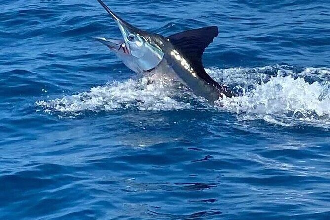 Deep Sea Fishing Tour in Huatulco Bays - Authentic Insights from Reviews