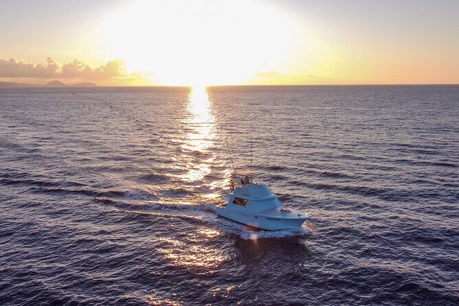 Deep Sea Shared Fishing Charter in Honolulu - The Sum Up: Who Should Consider This Tour?