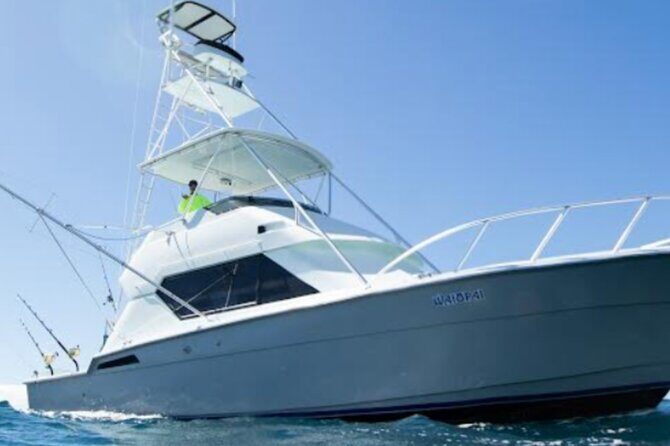 Deep Sea Sport Fishing - A Closer Look at the Experience