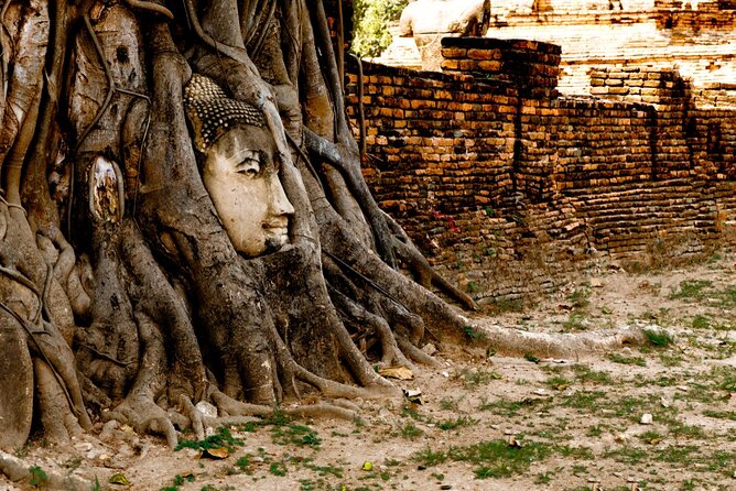 Definitive tour of 4 ancient capitals Ayutthaya ruins in Japanese - Who Would Love This Tour?