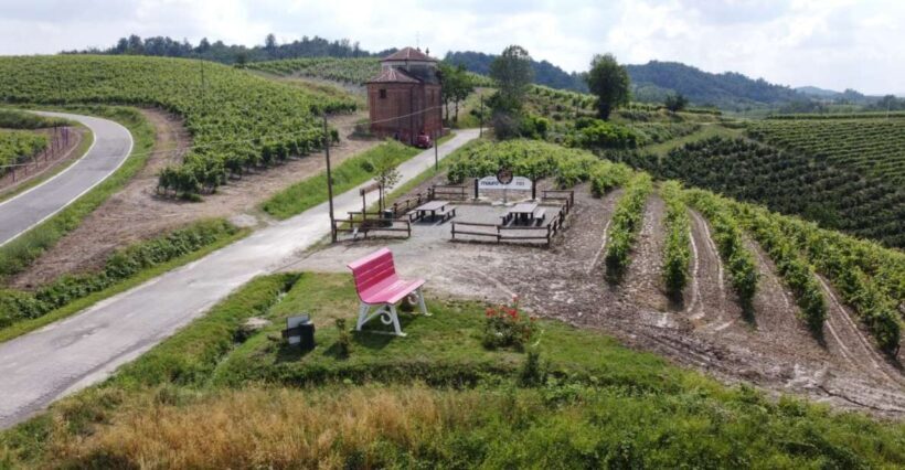 Degustazione di vini del Monferrato con visita della cantina - Exploring the Monferrato Wine & Food Experience: A Genuine Taste of Piedmont