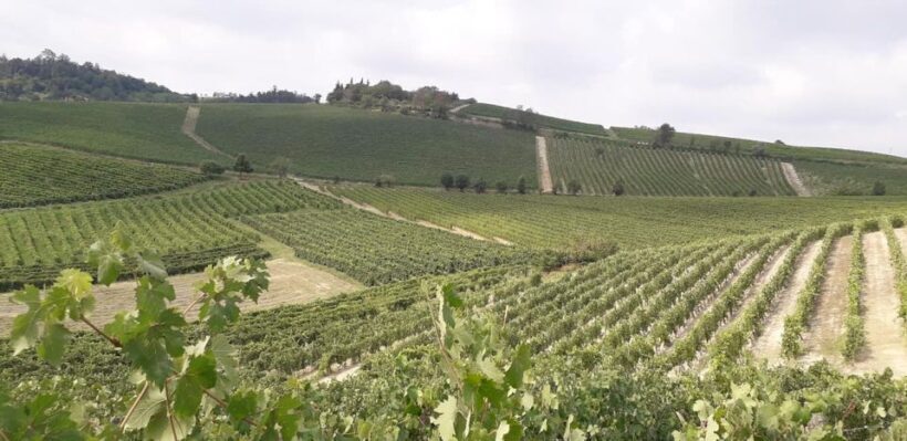 Degustazione di vini del Monferrato con visita della cantina - Key Points