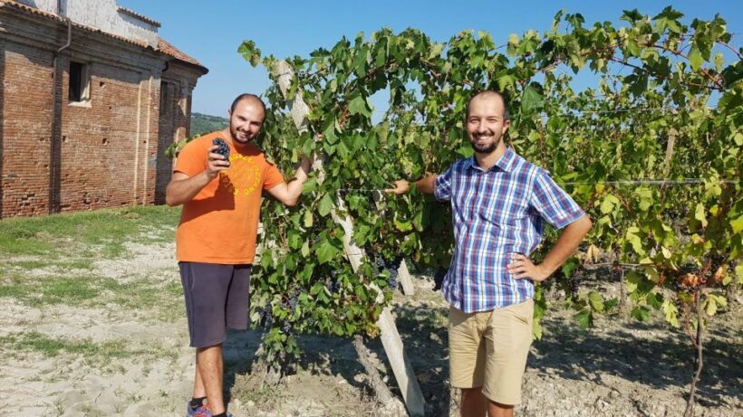 Degustazione di vini del Monferrato con visita della cantina - Final Thoughts