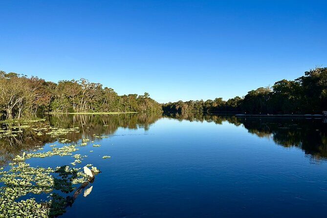 DeLeon Springs River Boat Tour - What the Reviews Tell Us