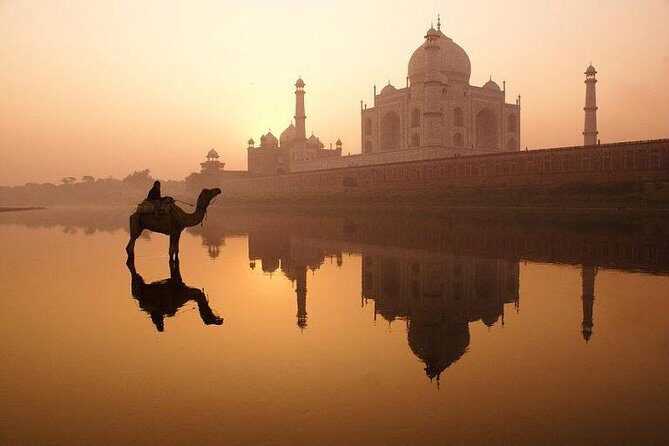 Delhi Agra and Jaipur in 3 Days - Golden Triangle Tour India - A Deep Dive into the Tour Experience