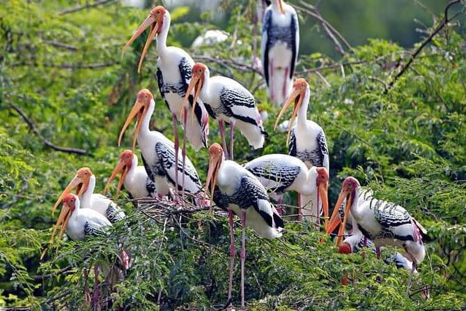 Delhi Agra Jaipur 5 Days Golden Triangle Tour With Ranthambore - What Makes This Tour Stand Out?