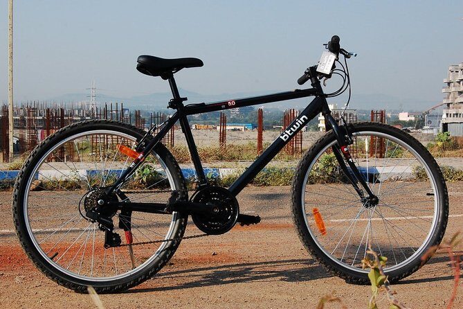Delhi Bike Rental - Key Points