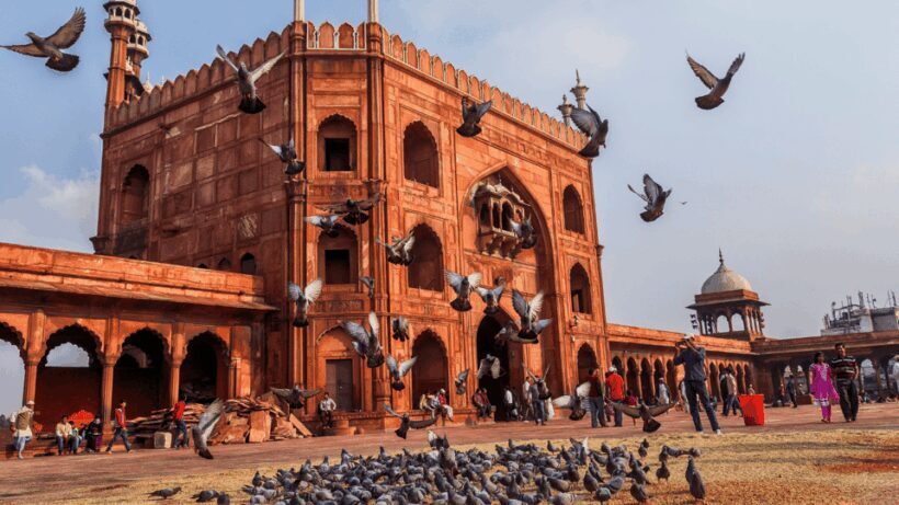 Delhi City Tour: Old, New, or Both  Half & Full Day Options - Exploring the Highlights of Delhi
