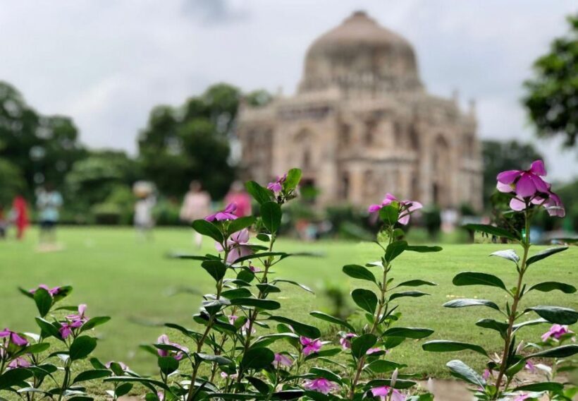 Delhi: Half-Day Private Guided City Sightseeing Tour - FAQs