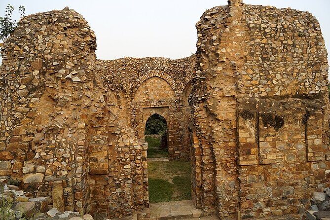 Delhi Mehrauli Archaeological Park Half Day Walking Tour - How Does This Tour Compare to Other Experiences?