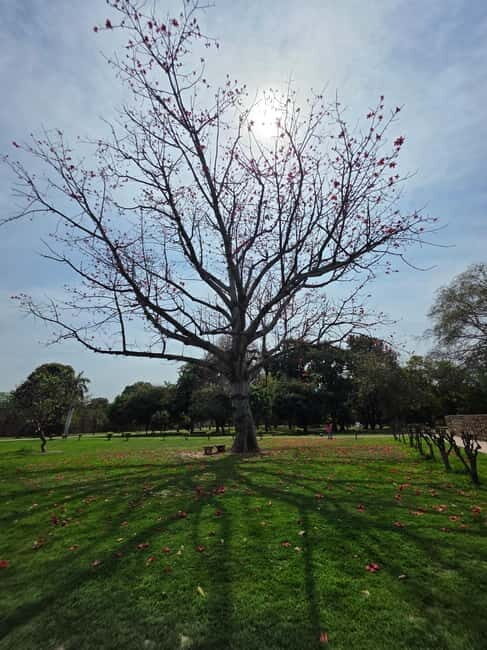 Delhi: Old And New Delhi Private Full Or Half-Day Tour - Who Will Benefit Most from This Tour?