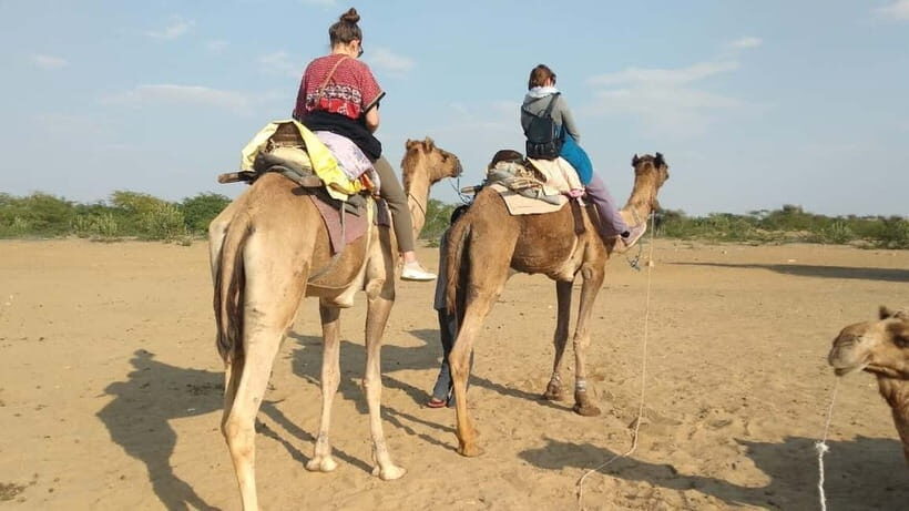 Delhi : One Day Sightseeing Tour - What to Expect from the Delhi One Day Sightseeing Tour