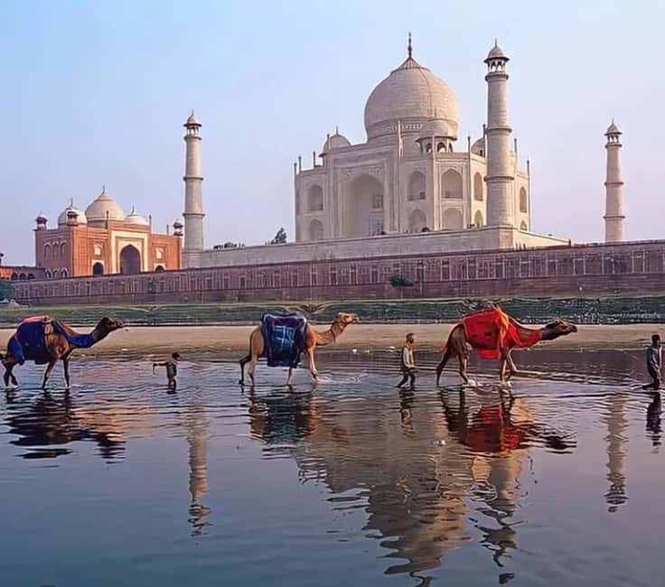 Delhi: Same Day Taj Mahal, Agra Fort & Baby Taj Tour By Car - Deep Dive into the Tour Experience