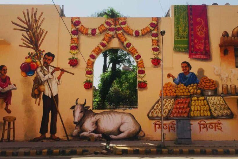 Delhi Street Art Tour - What This Tour Offers and Why It Matters