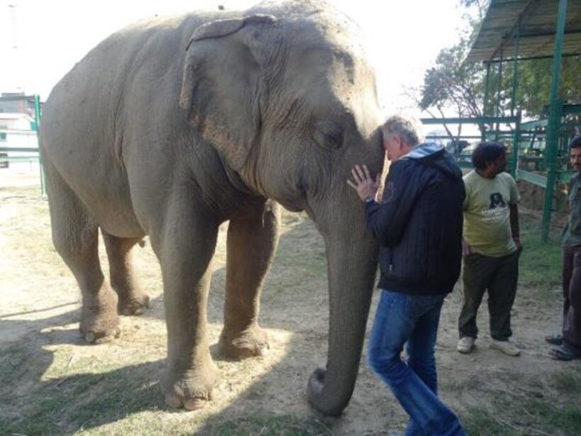 Delhi: Taj Mahal & Wildlife SOS Elephant/Bear Sanctuary Tour - An In-Depth Look at the Itinerary