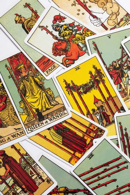Delhi: Tarot Card Reading Experience - Key Points