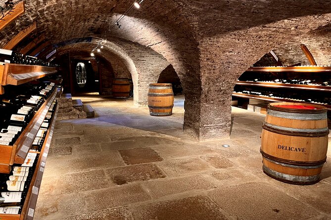 Délicave: Immersive Exhibition & Wine Tasting - Introduction