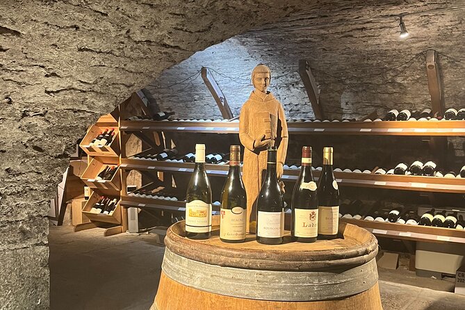 Délicave: Immersive Exhibition & Wine Tasting - Who Will Love This Tour?