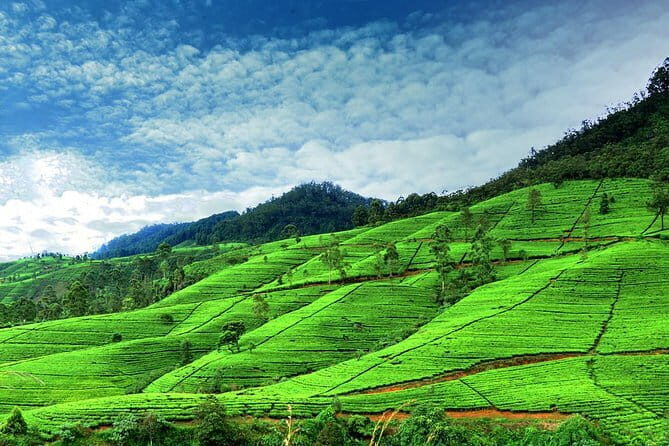 Delights of Sri Lanka - Day 11-12: Wildlife and Coastal Beauty