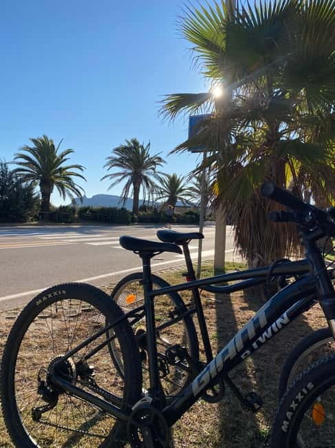 Delivery bike for 6hours Castello/Molentargius/Poetto/Quartu - Exploring Cagliari and Surroundings on Two Wheels