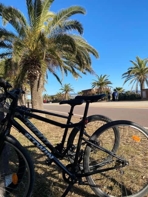 Delivery bike for 6hours Castello/Molentargius/Poetto/Quartu - Authentic Experiences and Practical Tips