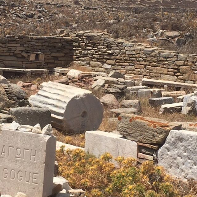 Delos Synagogue: Jewish Heritage Private Tour from Mykonos - Walking Through Ancient Delos