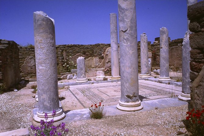 DELOS, the Island of God Apollo - Visitor Reviews and Testimonials