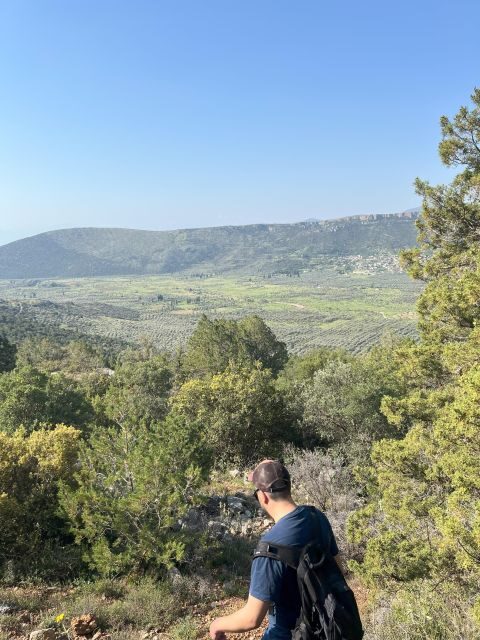 Delphi: Easy Hike from the Monastery to the Mycenaean tomb - An Enjoyable Walk with Deep Context