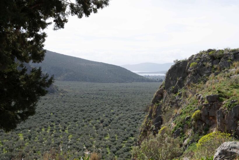Delphi: Easy Hike on Ancient Path through the Olive Groves - Itinerary Breakdown: From Delphi to Chriso and Beyond