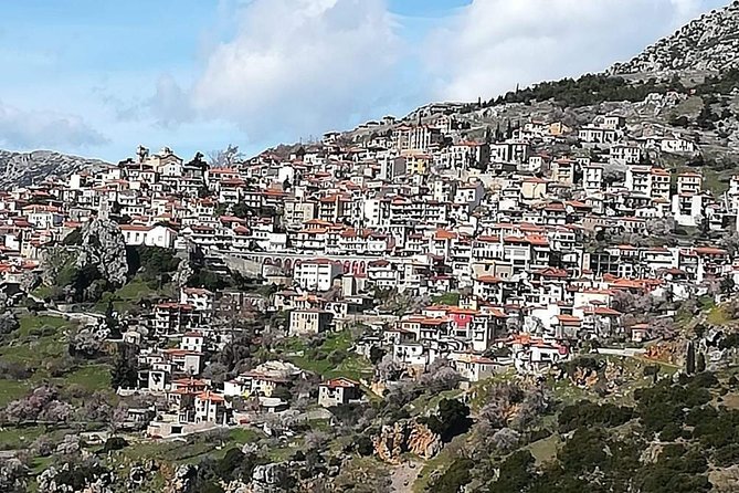 Delphi Full Day Private Tour: Temple of Apollo, Museum, Navel of Earth & Oracle - What Does the Price Get You?