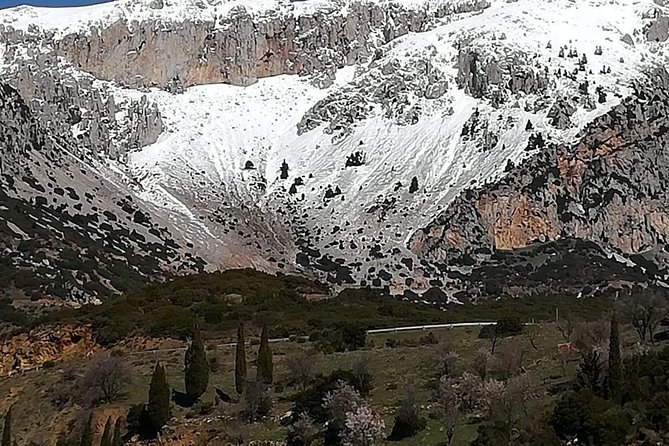 Delphi Full Day Private Tour: Temple of Apollo, Museum, Navel of Earth & Oracle - Authentic Experiences and Practical Tips