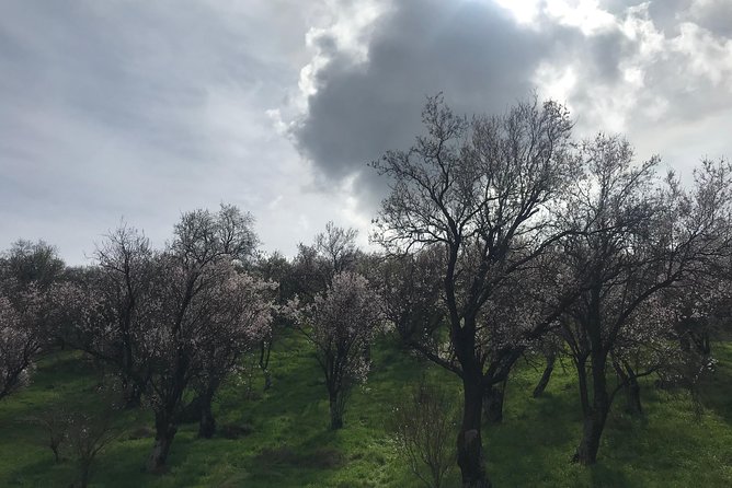 Delphi Private Full-day trip from Athens - Who Would Love This Tour?