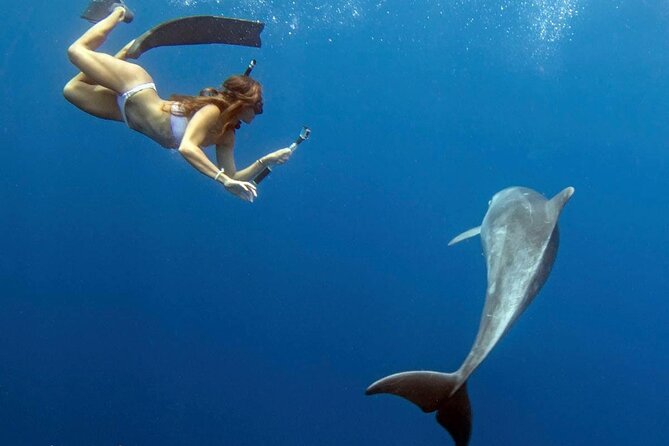 Deluxe Catamaran Swim With Dolphins in Oahu With Waterslide - Accessibility and Booking Details