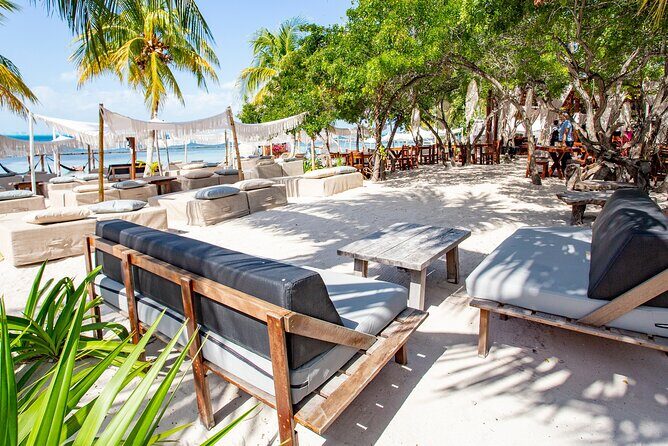 Deluxe Catamaran tour to Isla Mujeres with Open Bar and Lunch - The Sum Up: Who Will Love This Tour?