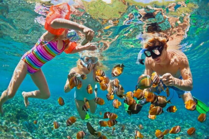 Deluxe Daily Tour-Snorkeling & BBQ & Mud Bath from Nha Trang - Detailed Breakdown of the Itinerary