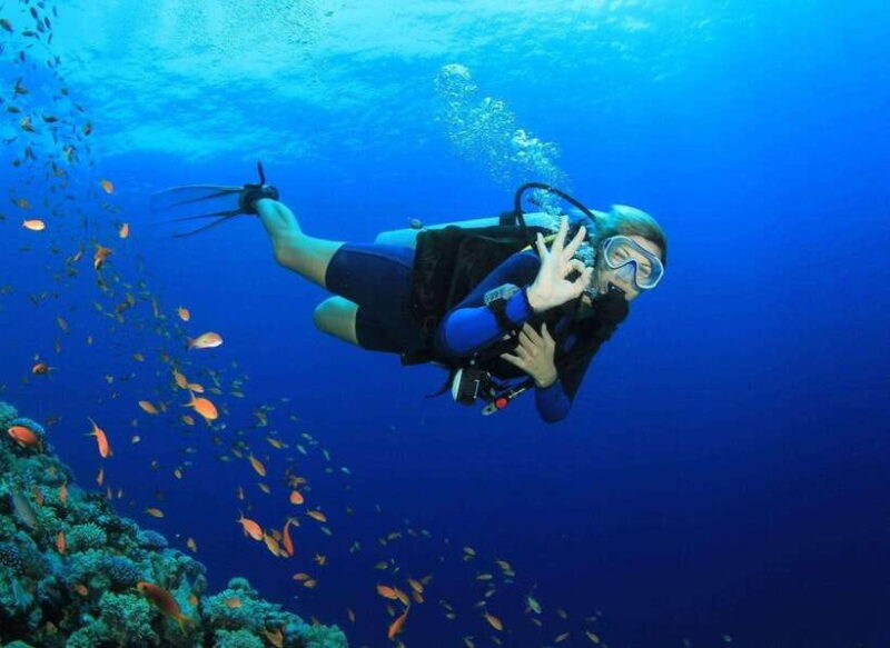 Deluxe Daily Tour-Snorkeling & BBQ & Mud Bath from Nha Trang - Value and Practicality