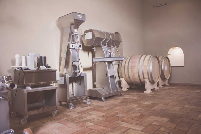 Deluxe Experience: Mozzarella, Oil and Wine Tasting on the Amalfi Coast - Key Points