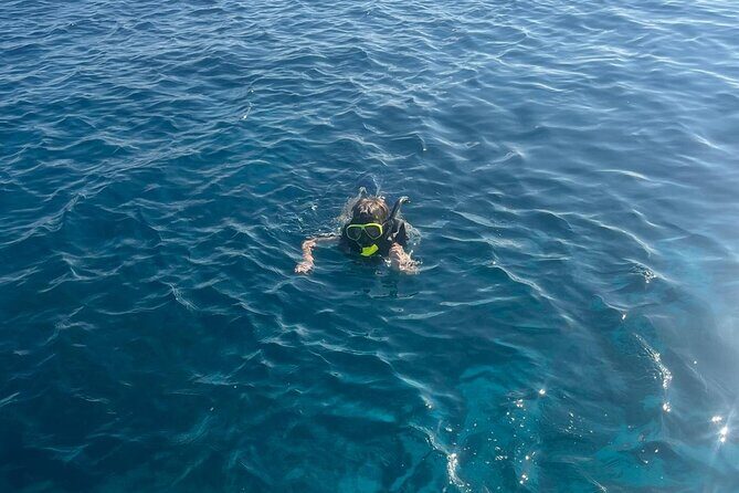 Deluxe Full Day Private Charter Adventure in Bonaire - Practical Considerations