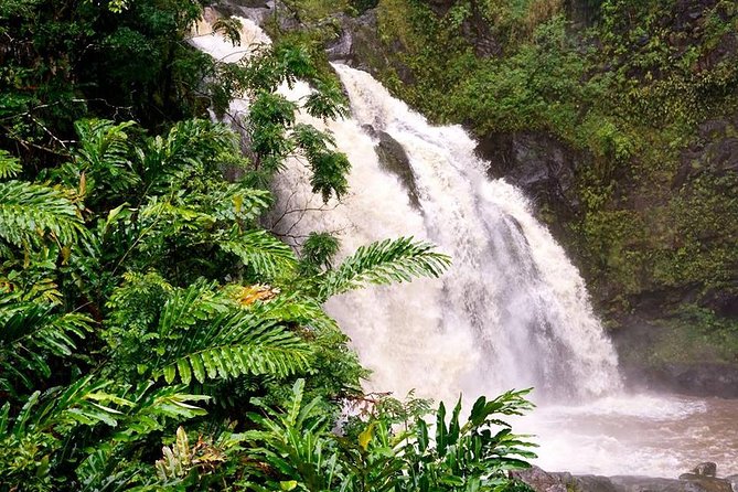 Deluxe Halfway to Hana: Private Tour From Kahului - Snacks and Beverages
