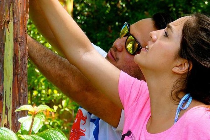 Deluxe Halfway to Hana: Private Tour From Kahului - Meeting and Pickup Information