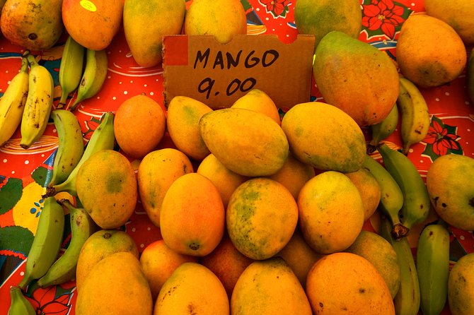 Deluxe Halfway to Hana: Private Tour From Kahului - Customer Feedback and Ratings