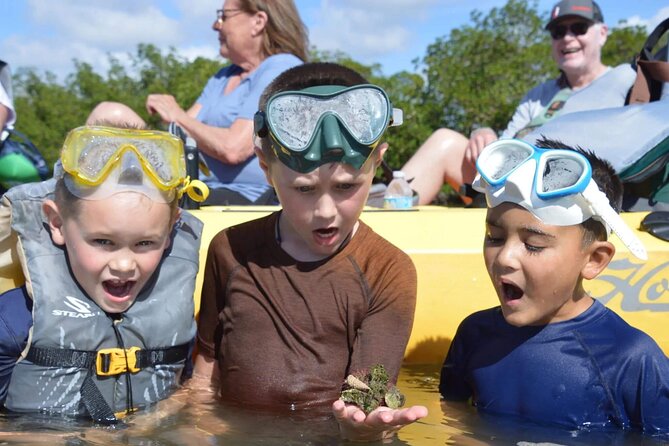 Deluxe Pedal Kayak Tour Marco Island and Naples, Florida - A Closer Look at the Experience