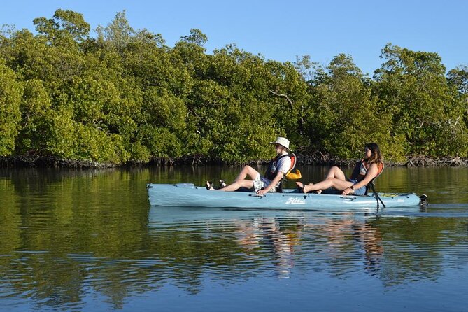 Deluxe Pedal Kayak Tour Marco Island and Naples, Florida - Who Will Love This Tour?